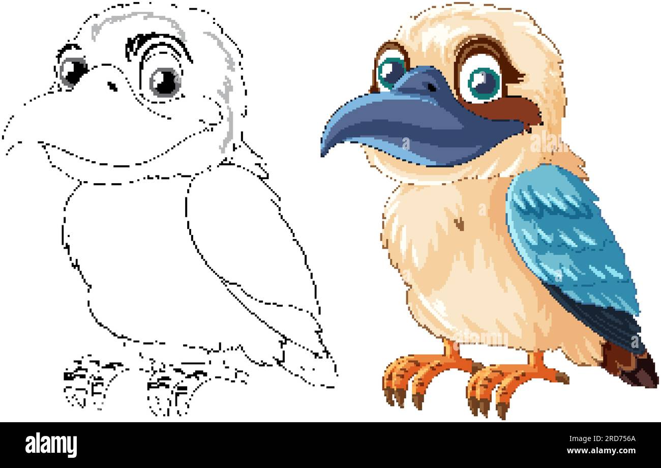 A smiling Kookaburra, native to Australia, is set against a white ...