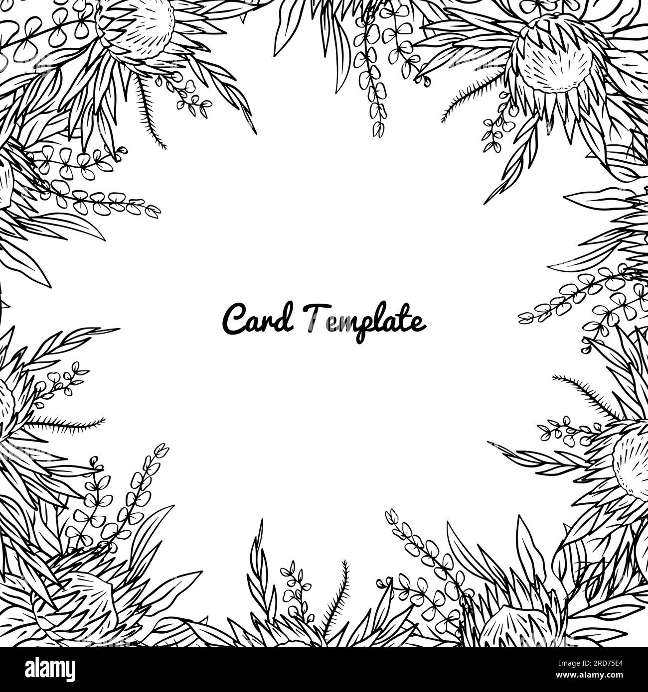 Hand drawn monochrome line art protea flower tropical square frame ...