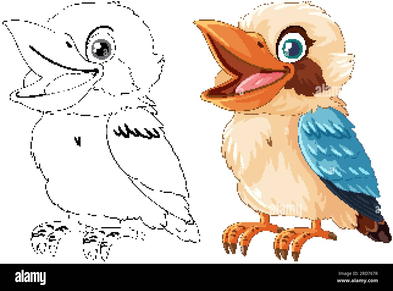 A smiling Kookaburra bird, native to Australia, is set against a white ...