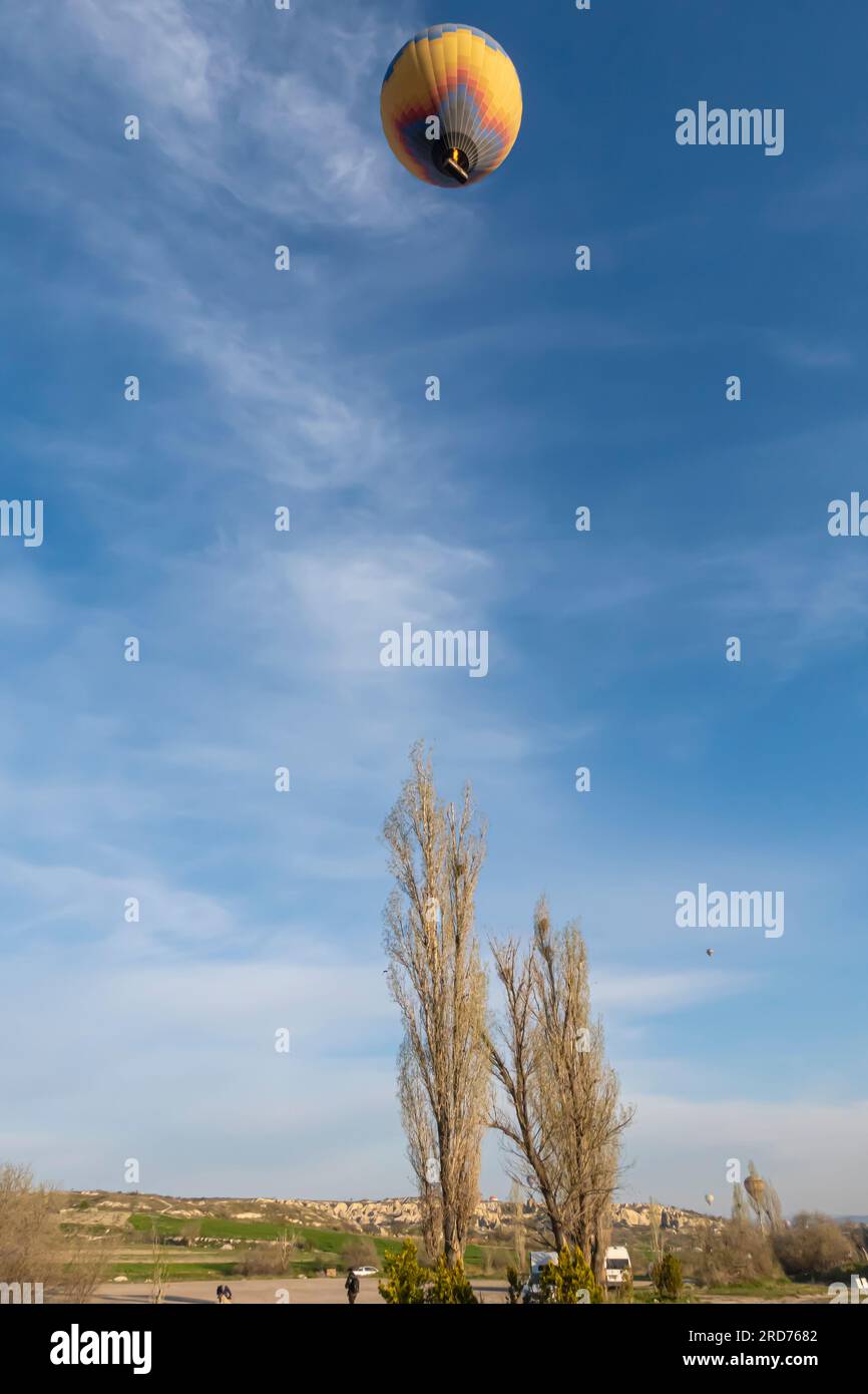 Hot air balloon above poplar trees Cappadocia Stock Photo - Alamy