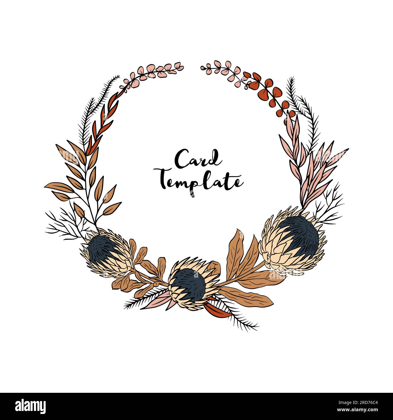 Hand drawn colorful line art tropical protea flower round frame Stock ...