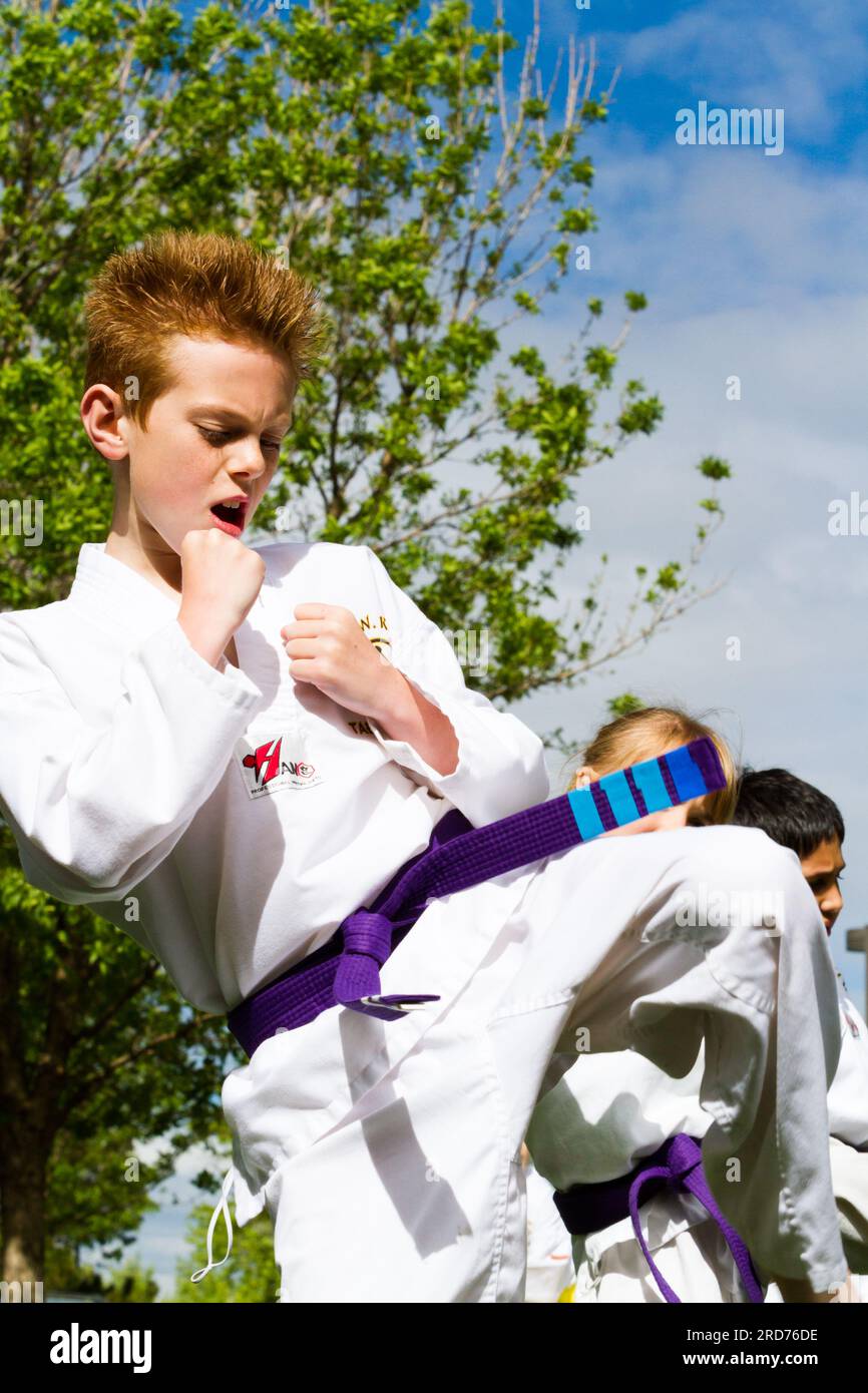 Tae Kwon Do Stock Photo - Alamy