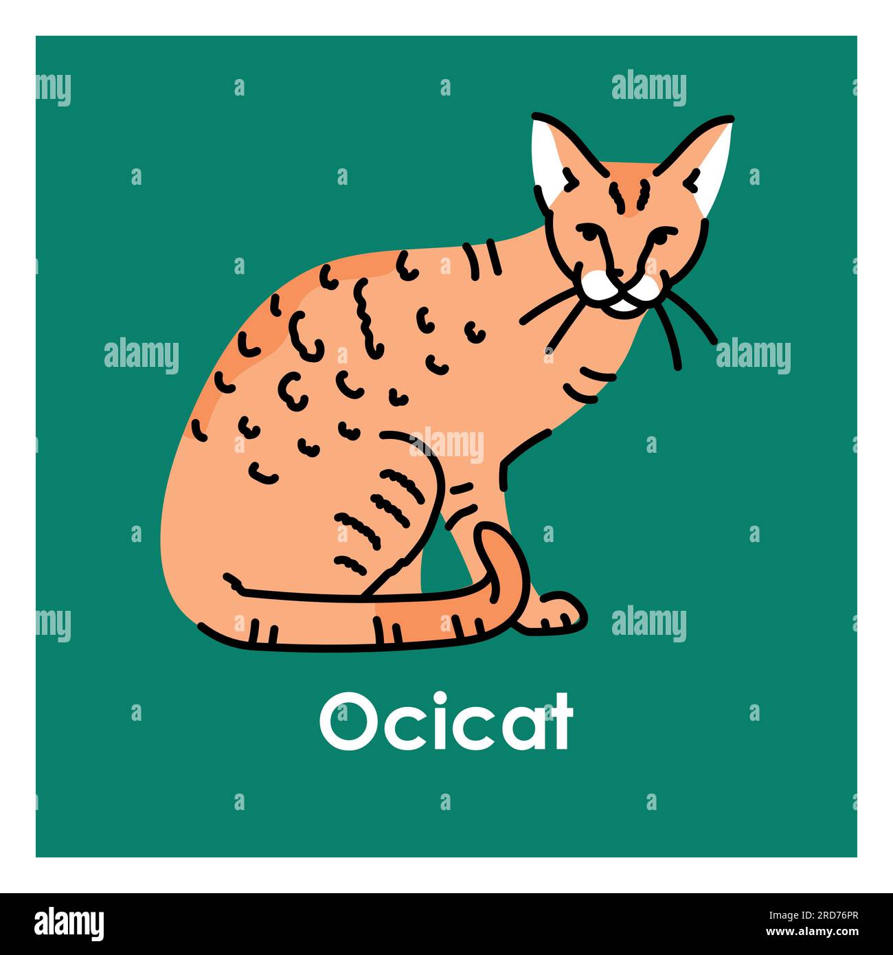 Farm Animals Cat
