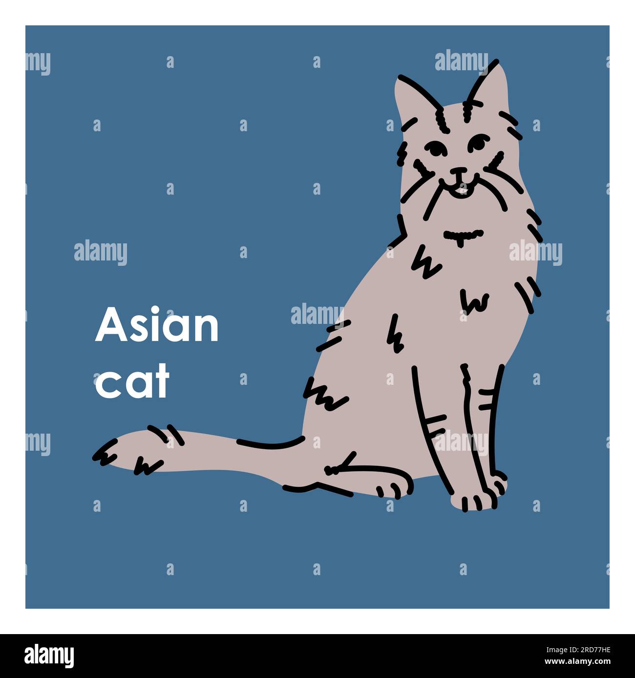 Asian cat line icon. Farm animals. Pictogram for web page, mobile app ...