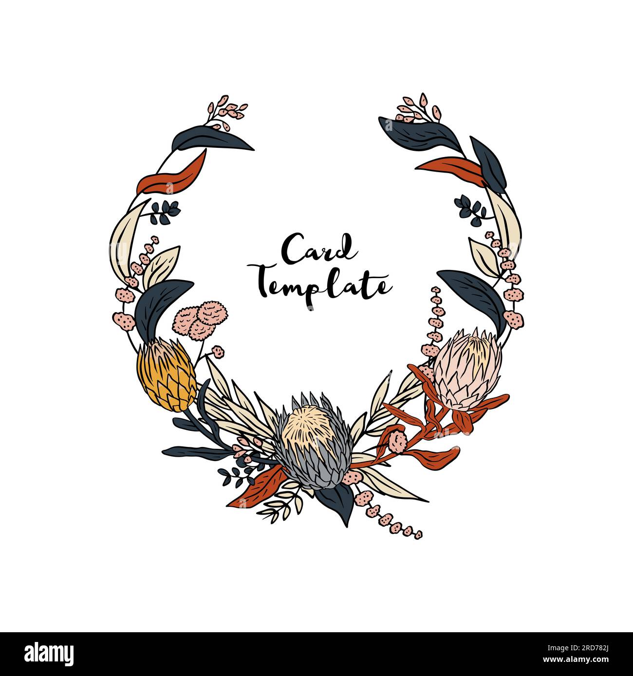 Hand drawn colorful line art tropical protea flower round frame Stock ...