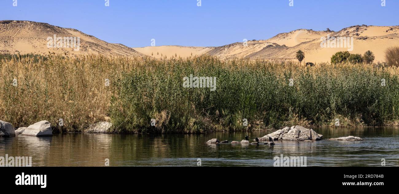 A panoramic view of the Nile at Aswan, Egypt Stock Photo - Alamy