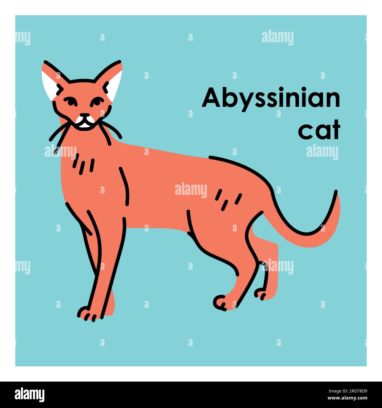 Abyssinian cat line icon. Farm animals. Pictogram for web page, mobile ...
