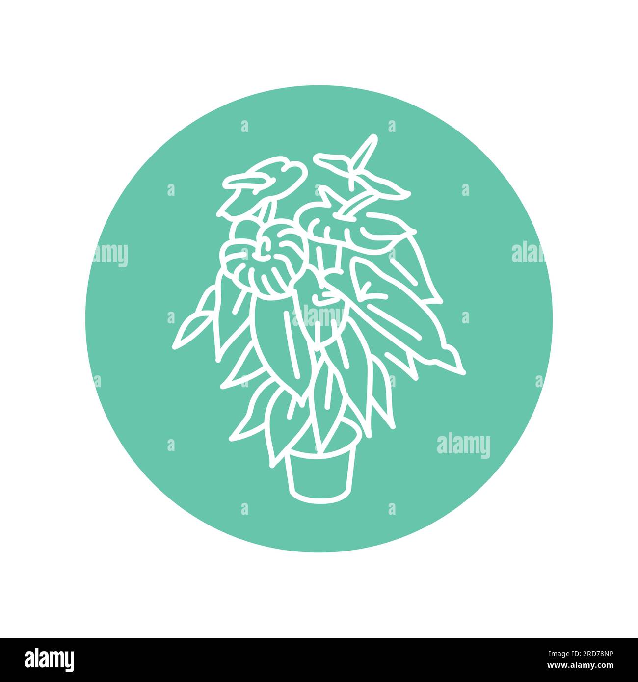 Anthurium houseplant black line icon. Indoor decorative plant ... Anthurium houseplant black line icon. Indoor decorative plant ...