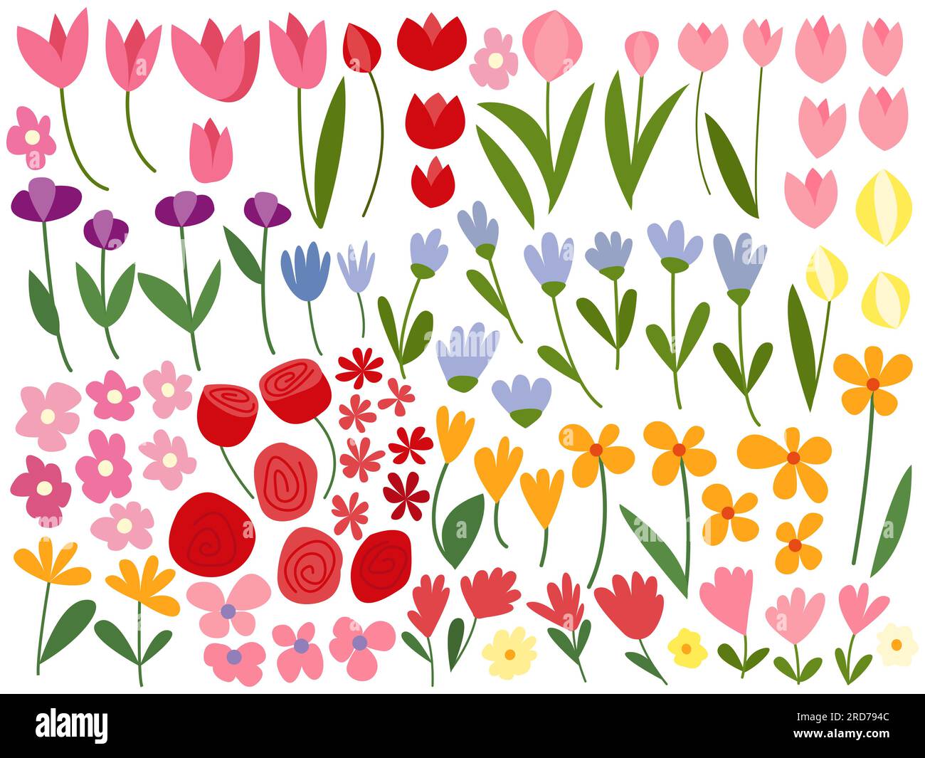 Vector different flower parts set Stock Vector Image & Art - Alamy