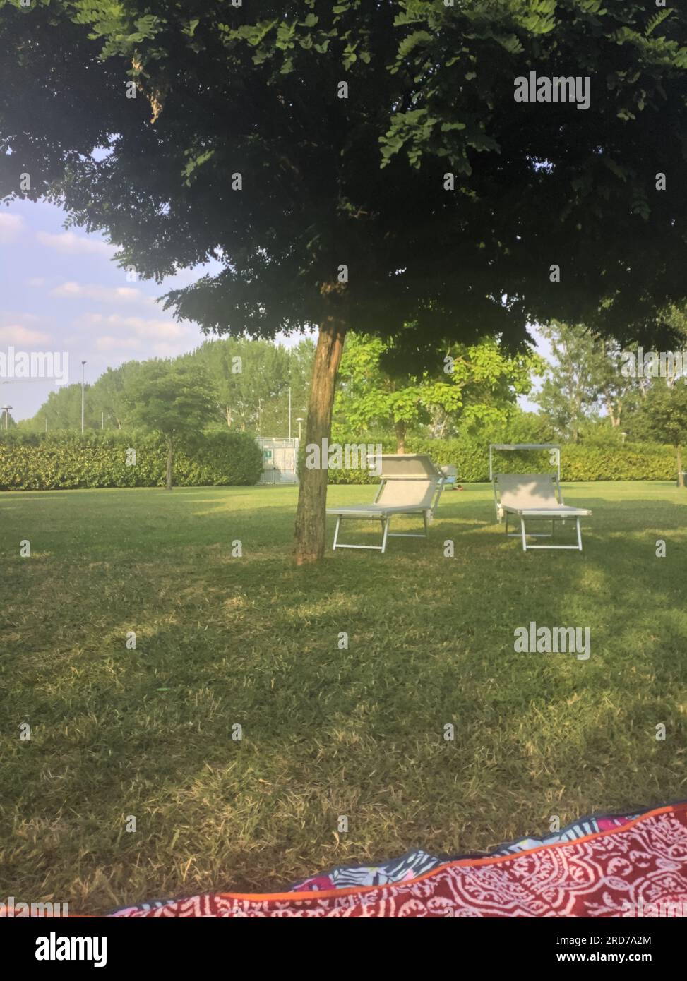 Deck chairs under a tree hi-res stock photography and images - Alamy
