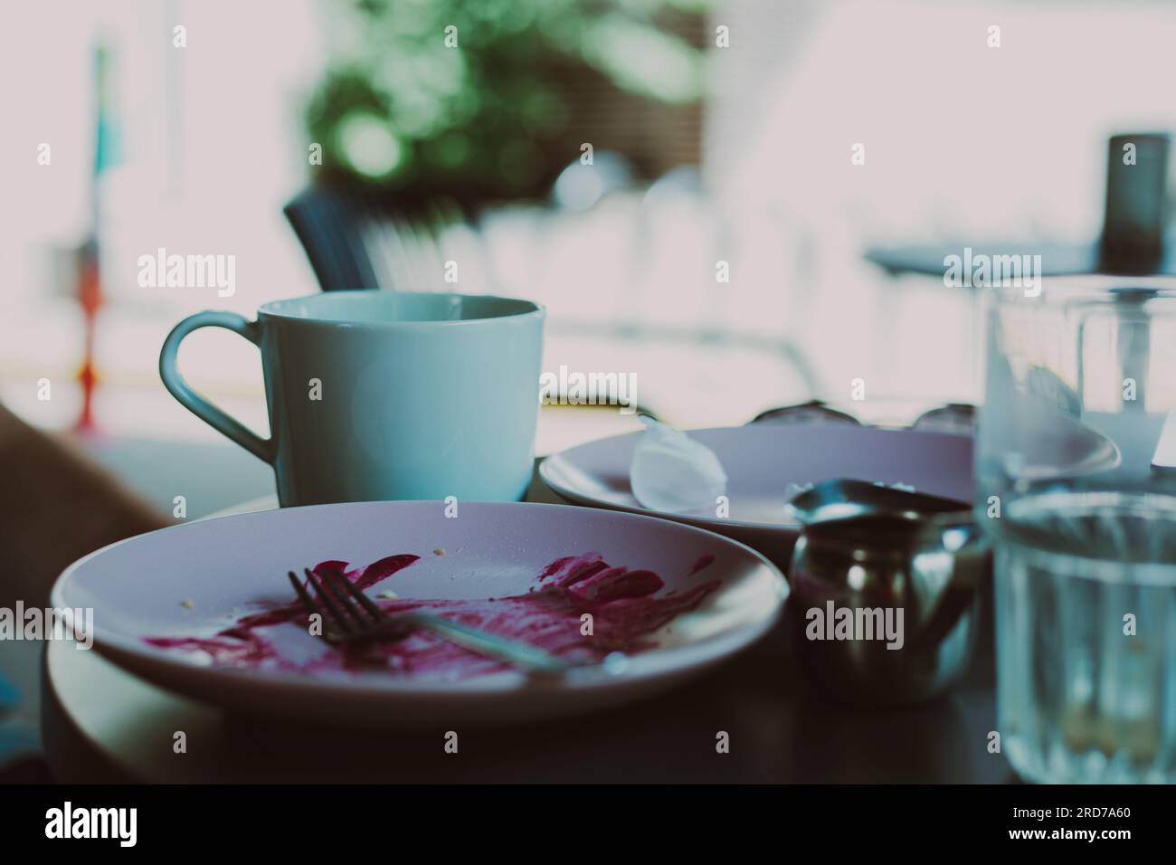 Empty dinner plate after meal hi-res stock photography and images - Alamy