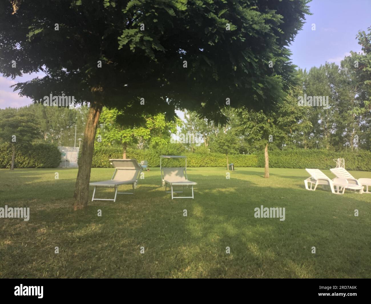 Deck chairs under a tree hi-res stock photography and images - Alamy