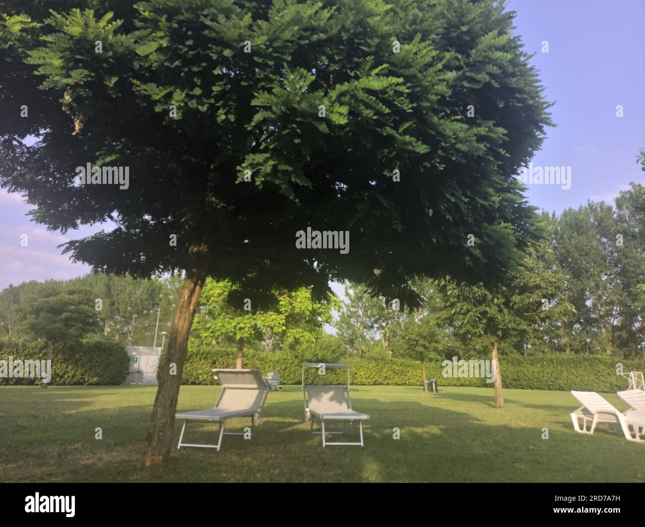 Deck chairs under a tree hi-res stock photography and images - Alamy