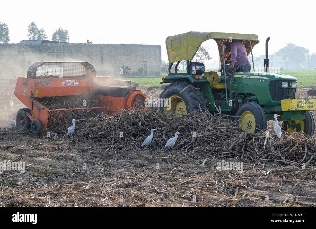 INDIA, Punjab, Kharar, sugar cane farming, cane straw pressing after ...