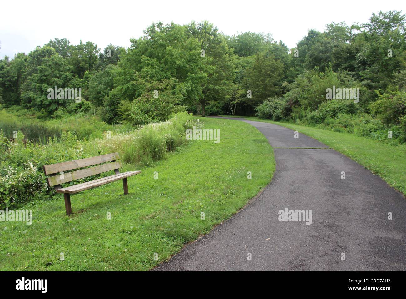 Empty bench beside to green pedestrian road Stock Photo - Alamy
