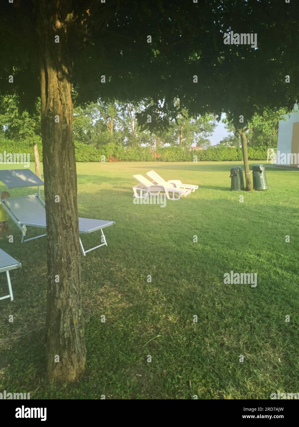 Deck chairs under a tree hi-res stock photography and images - Alamy