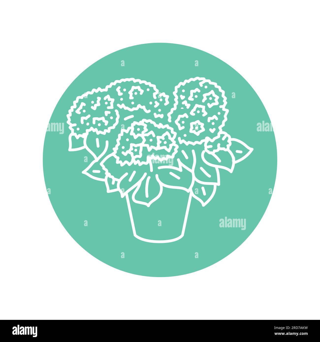 Hydrangea houseplant black line icon. Indoor decorative plant ...