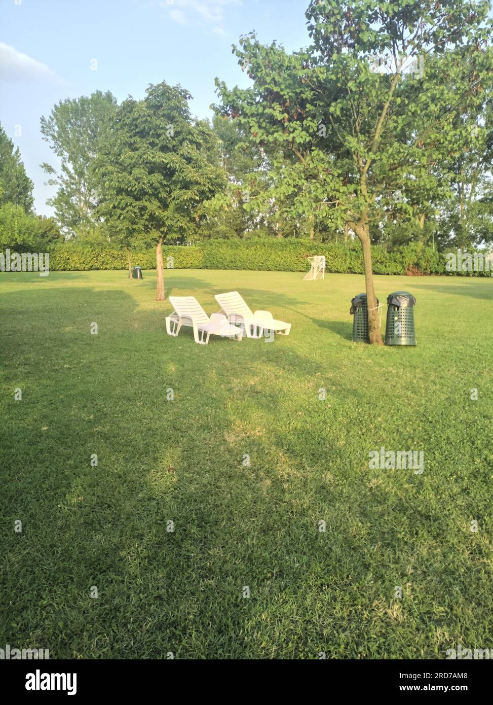 Table chair under tree in hi-res stock photography and images - Alamy