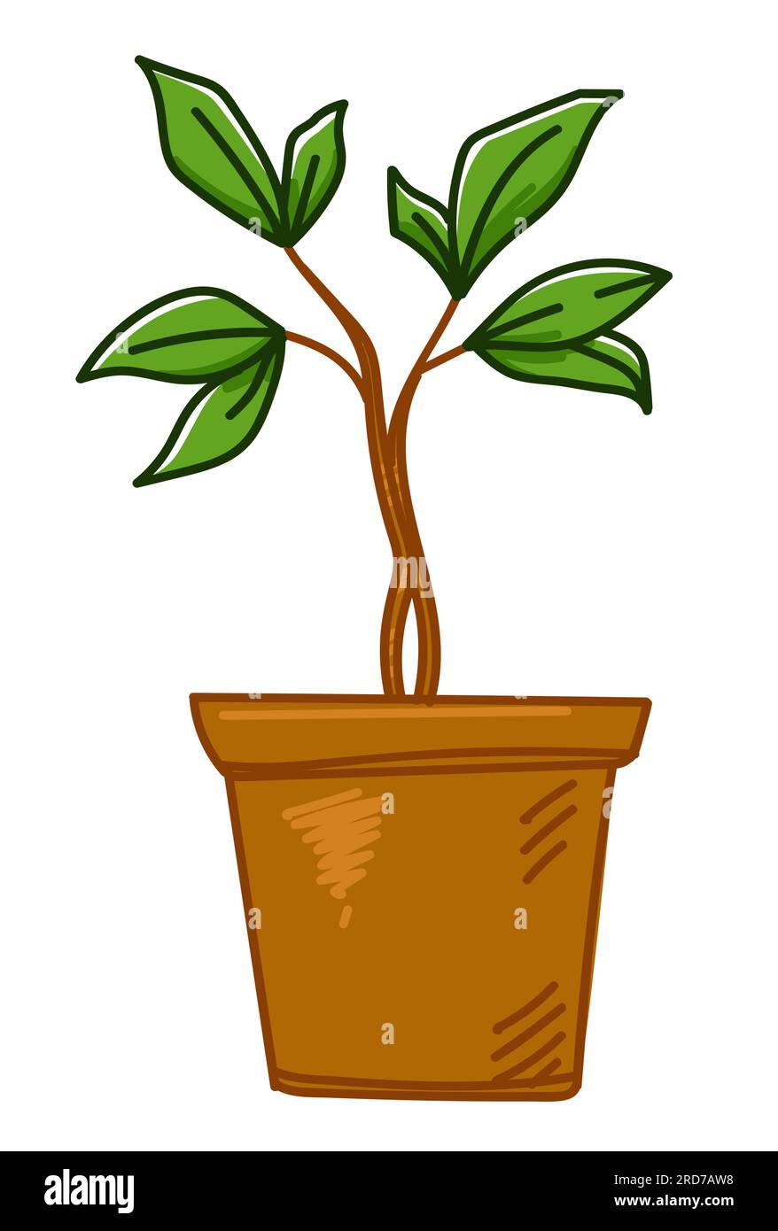 Growing tree plant in pot, agriculture and hobby Stock Vector Image ...