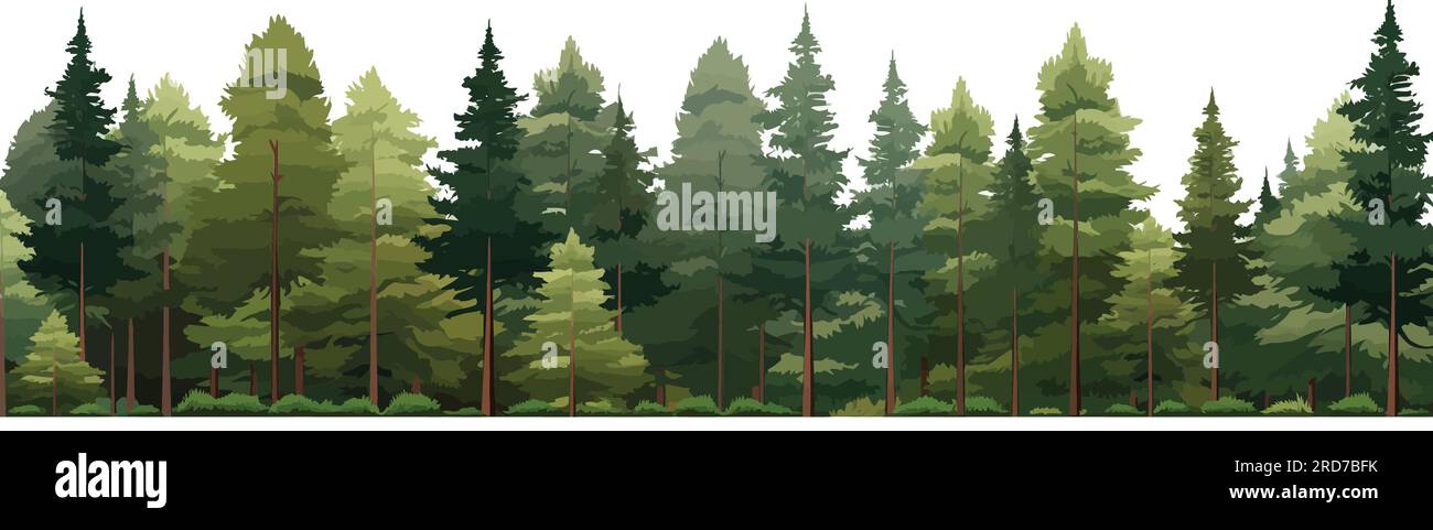 Dense forest landscape Stock Vector Images - Alamy