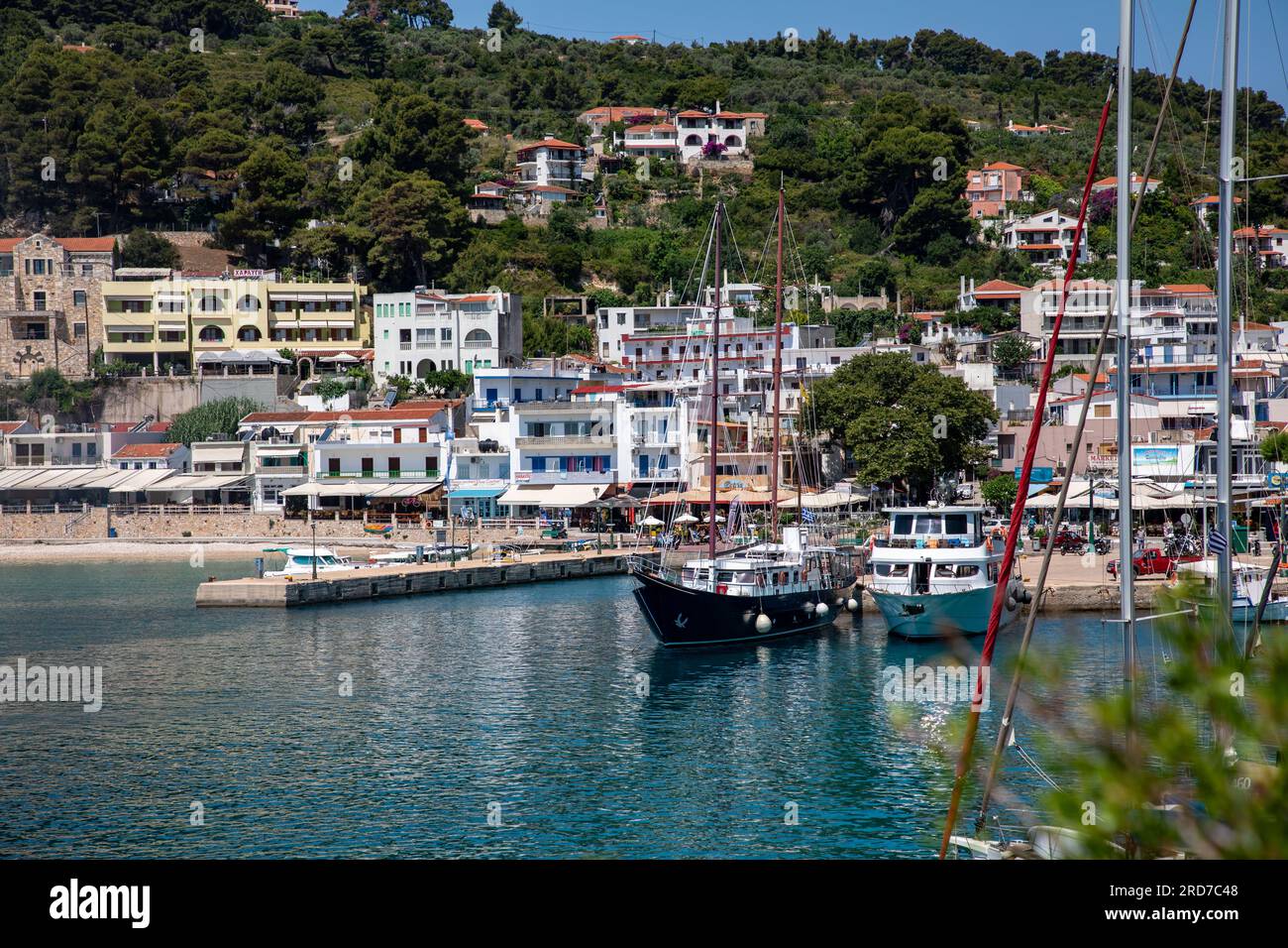 Monk seal greece hi-res stock photography and images - Alamy