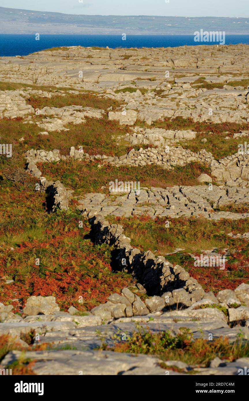 Stone walls on inishmore aran hi-res stock photography and images - Alamy