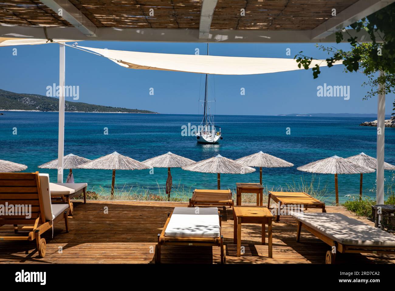 Monk seals greece hi-res stock photography and images - Alamy