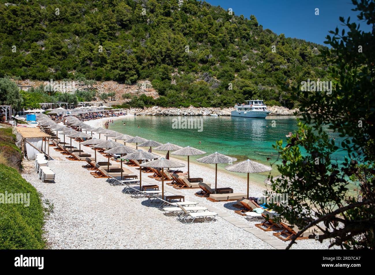 Monk seal greece hi-res stock photography and images - Alamy