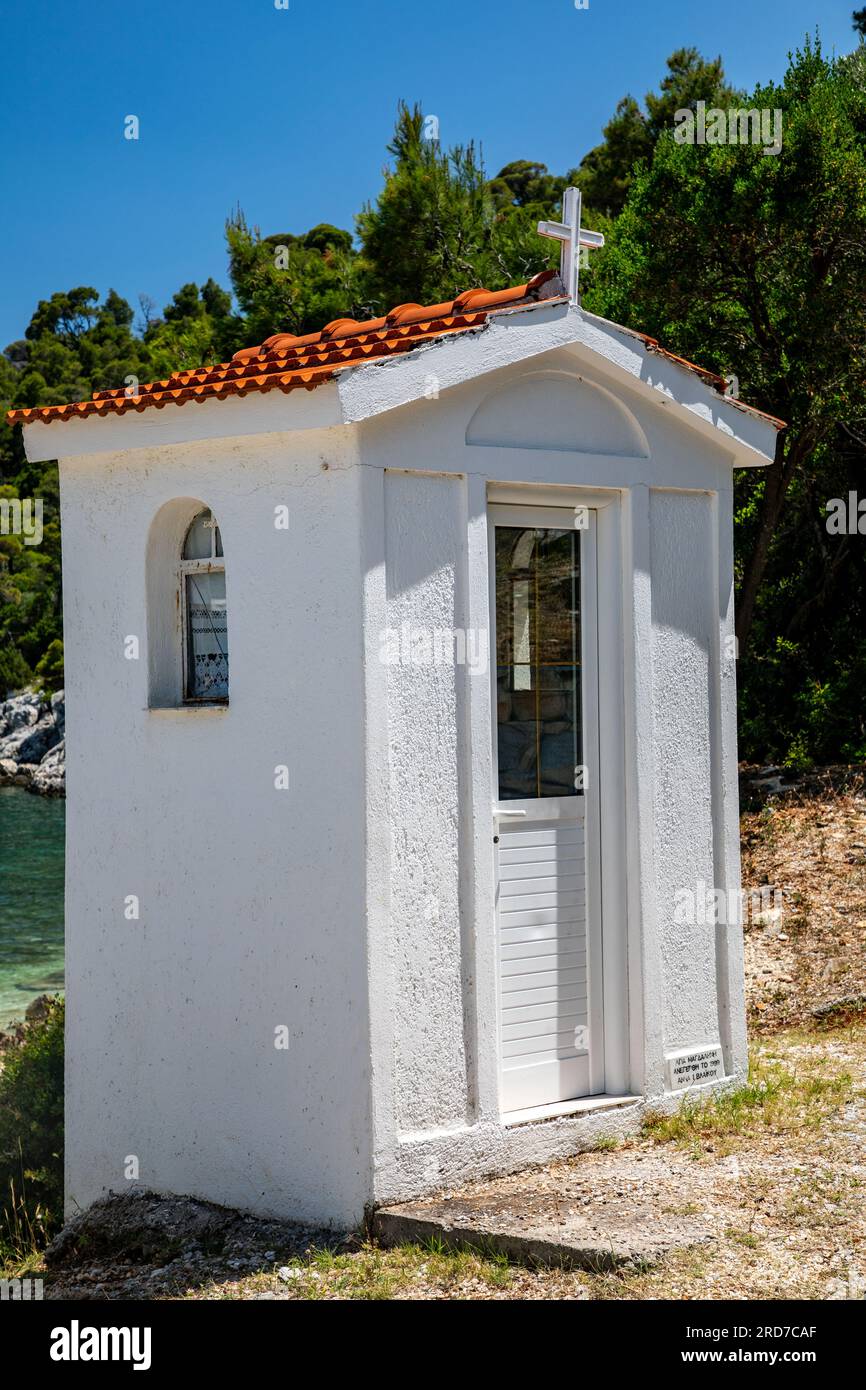 Monk seal greece hi-res stock photography and images - Alamy