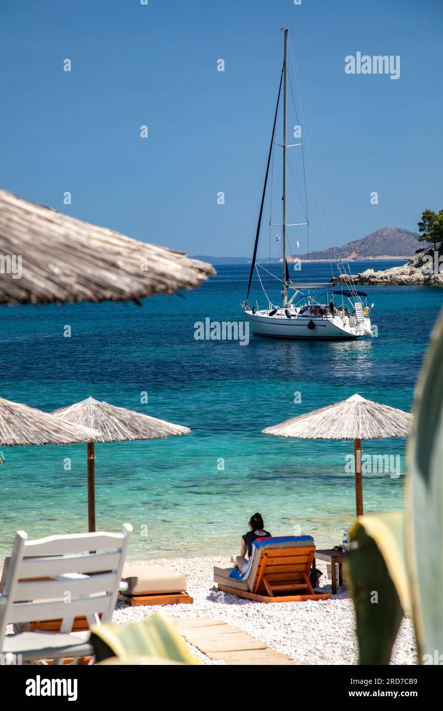 Monk seals greece hi-res stock photography and images - Alamy
