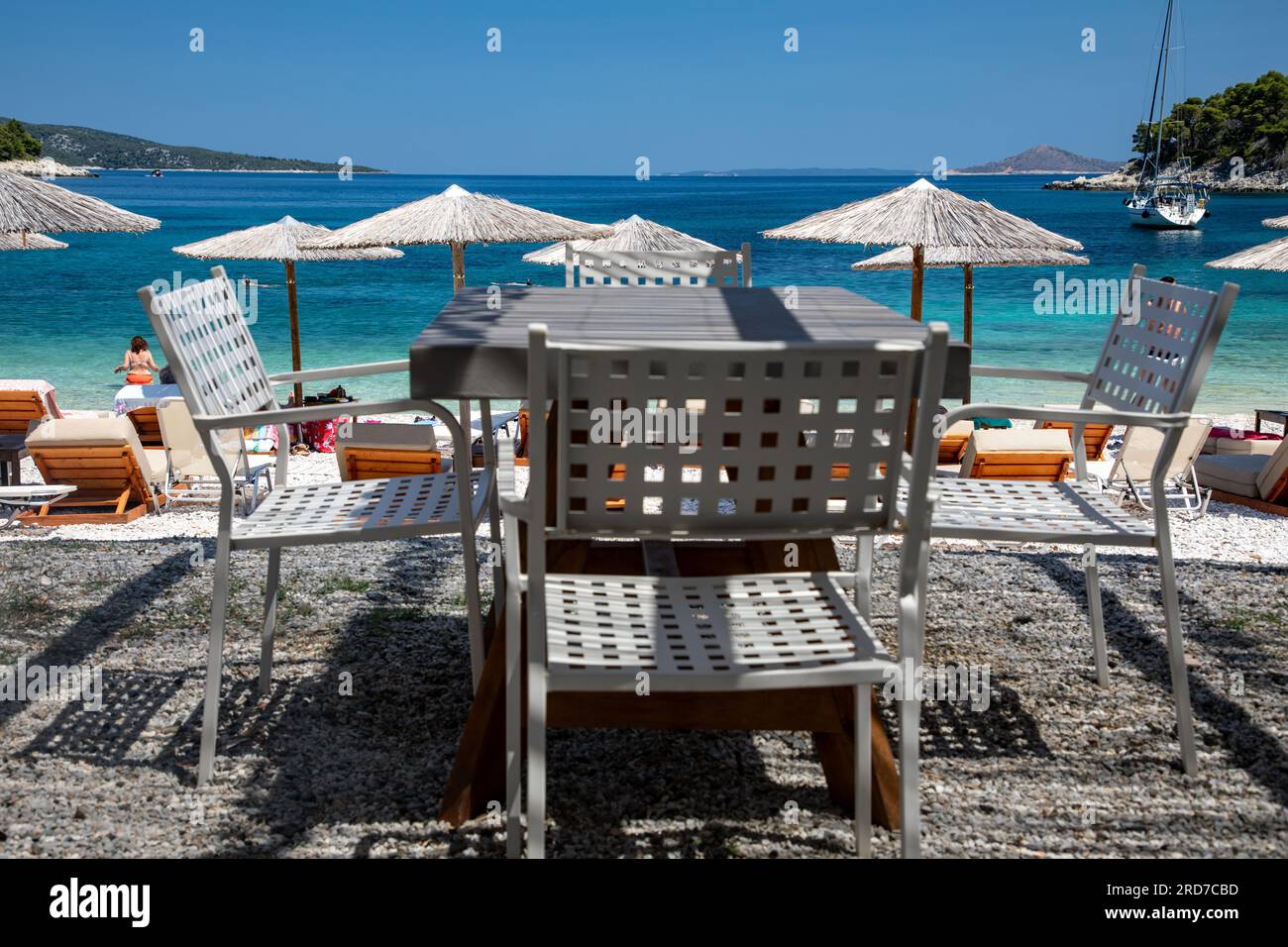 Monk seals greece hi-res stock photography and images - Alamy