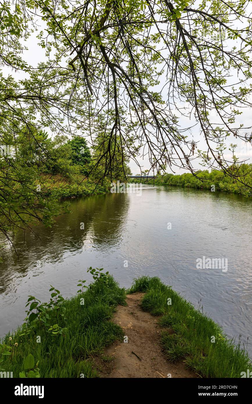 Polish rivers hi-res stock photography and images - Alamy