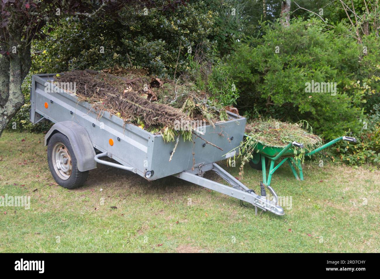 Wheelbarrow and trailer full of garden waste after cleaning a garden ...
