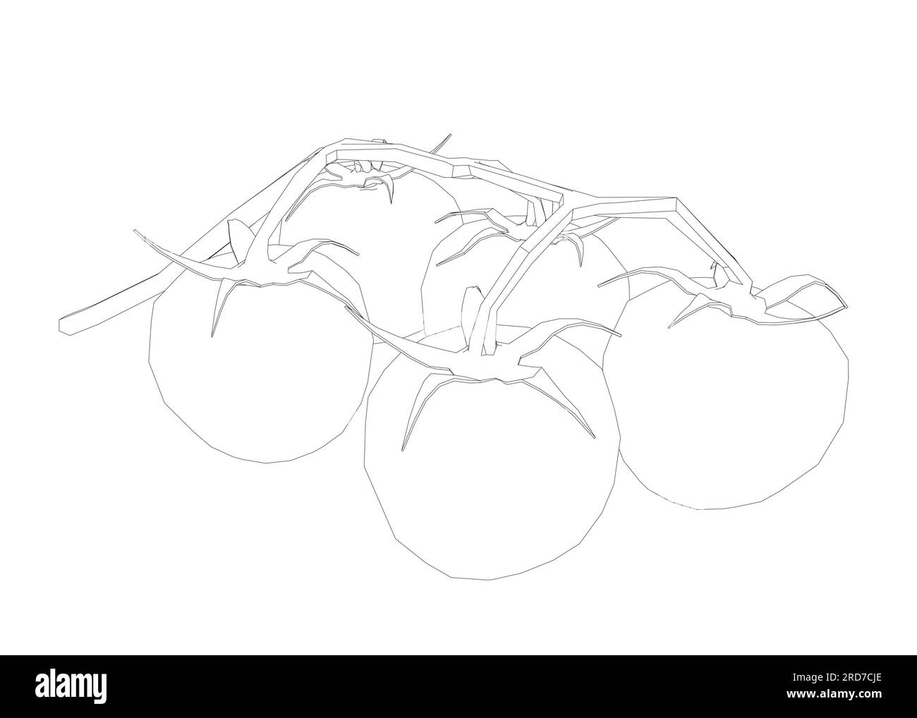 Cherry tomatoes branch vector line art illustration. Contour drawing ...