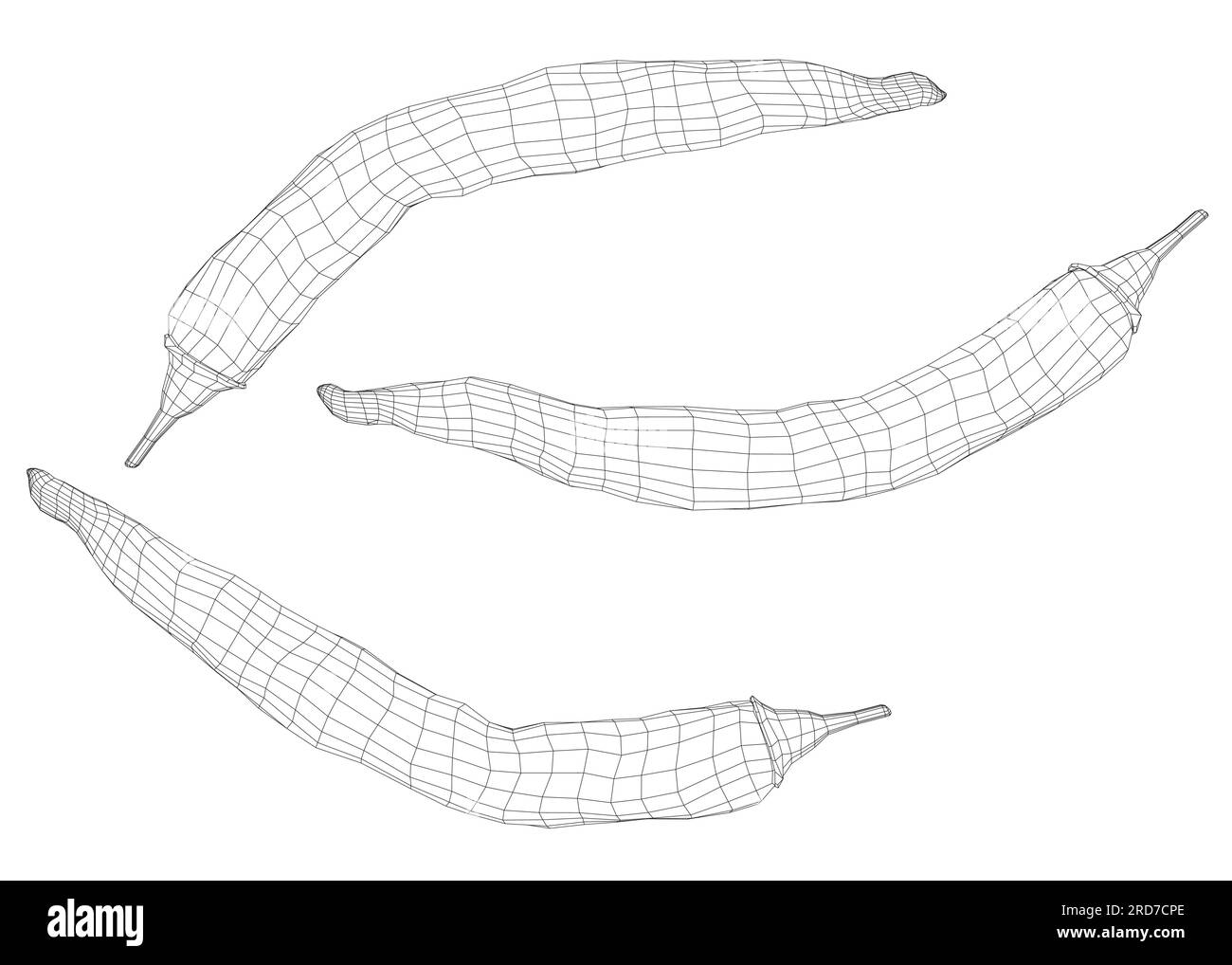 Wireframe chili peppers, black and white drawing, hatching. Contour ...