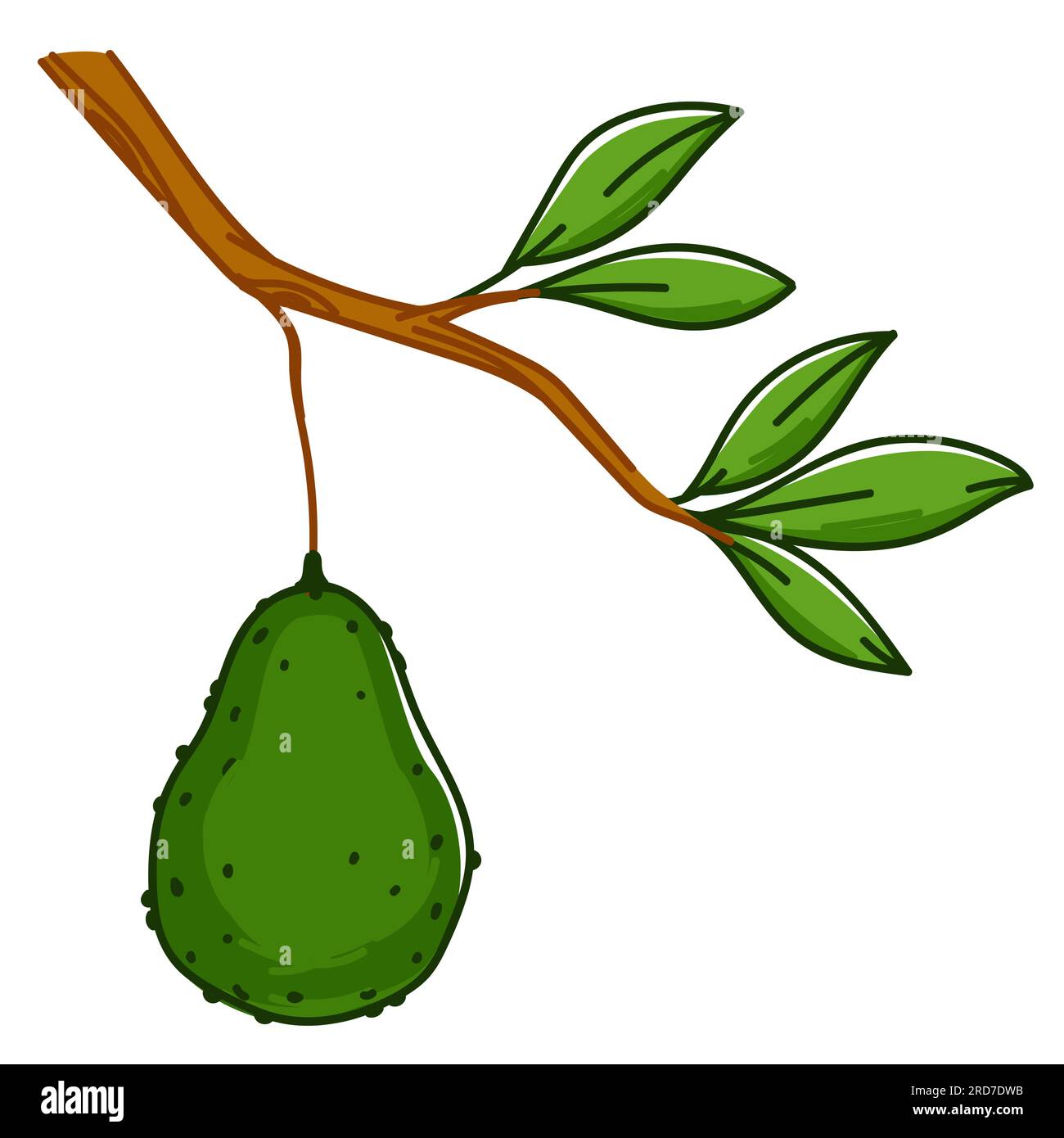 Avocado tree sprout Stock Vector Images - Alamy