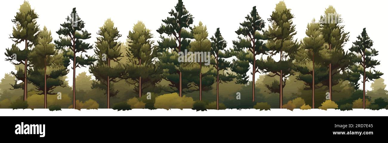 Dense forest landscape Stock Vector Images - Alamy