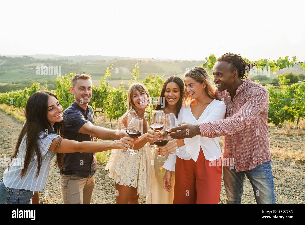 Happy friends cheering with red wine at countryside summer event ...