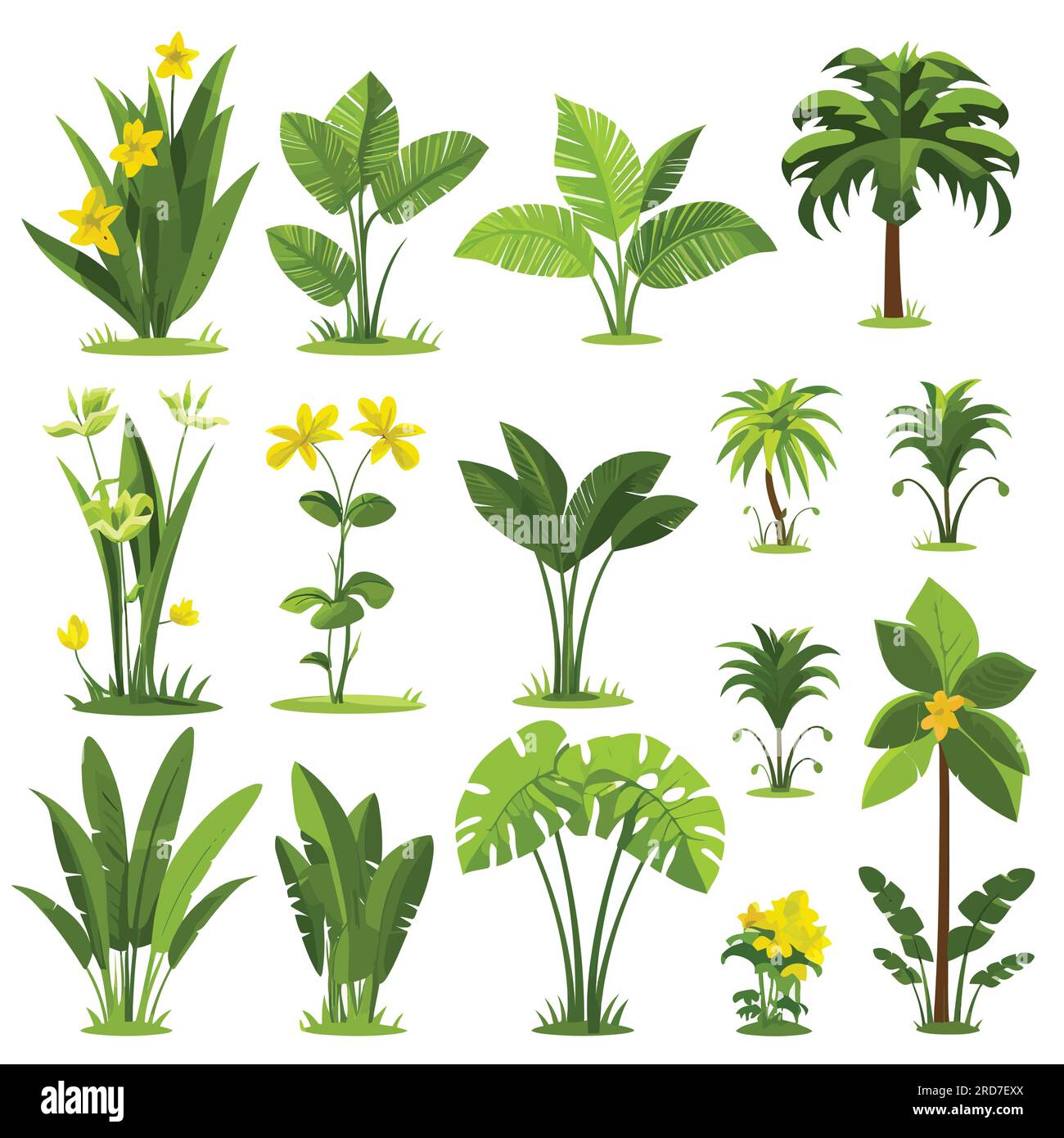 Tropical Rainforest Flora set vector flat isolated Stock Vector Image ...