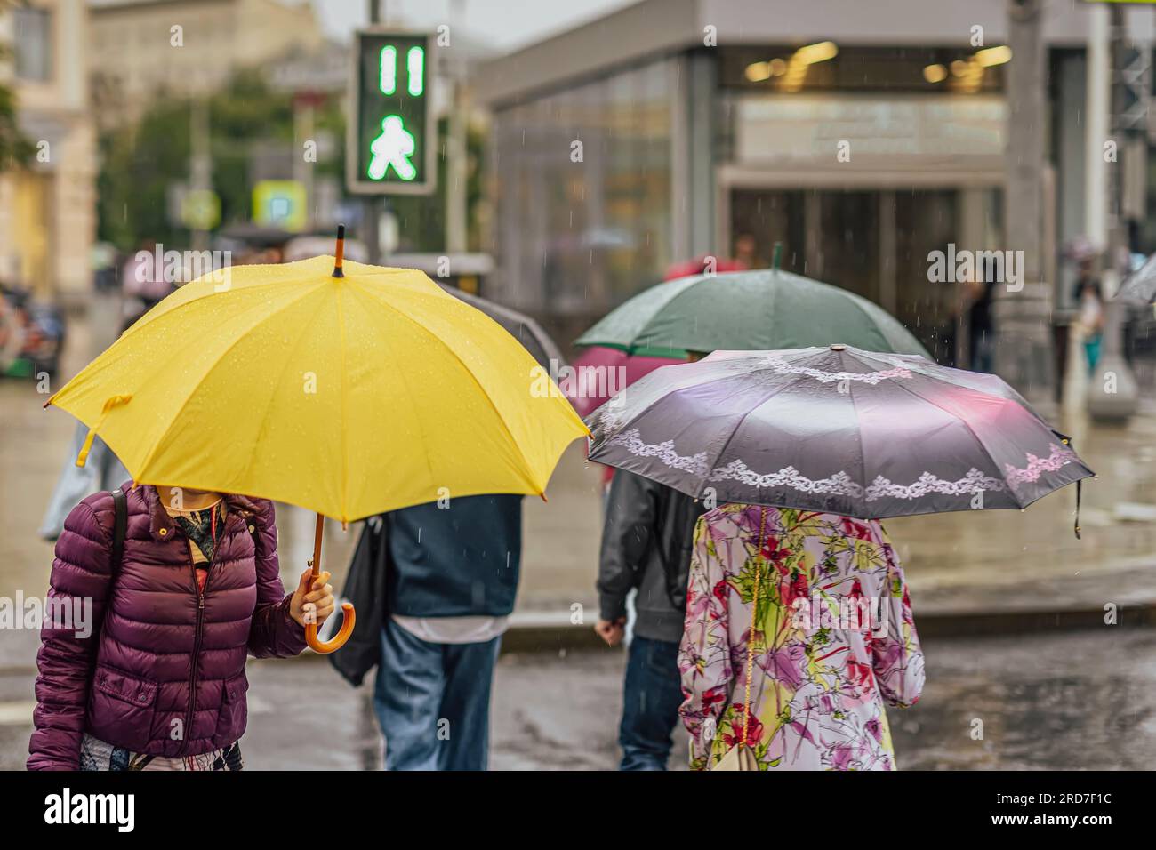 People with umbrellas in rain, back view, city street. Autumn season ...