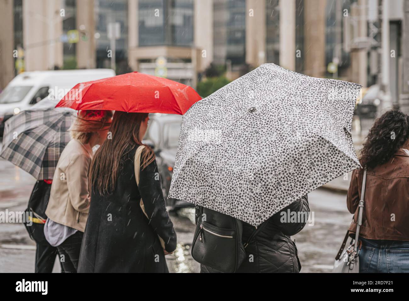 Rainy day, windy day, city street, people under umbrellas, back view ...