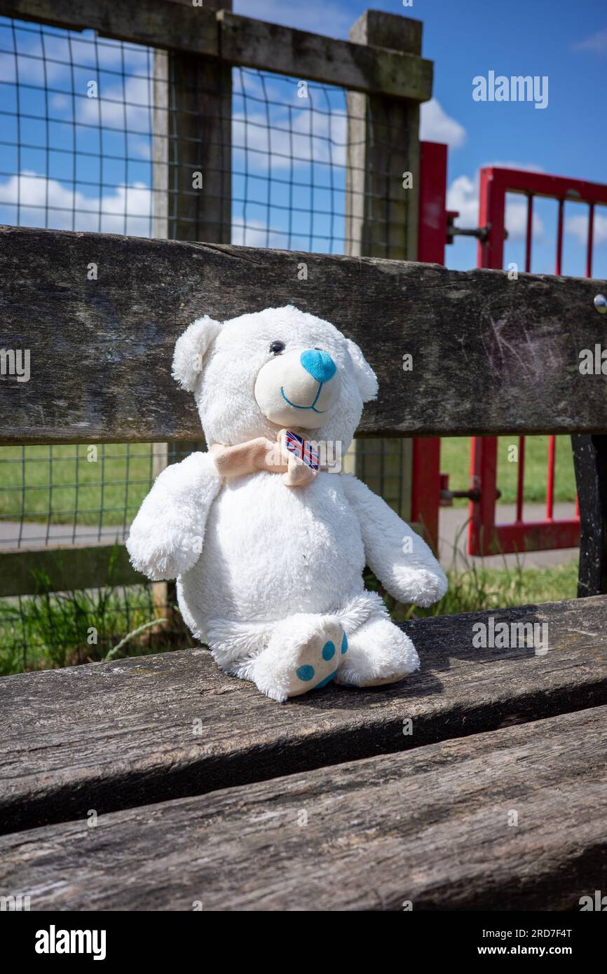White teddy bear left on a park bench Stock Photo - Alamy
