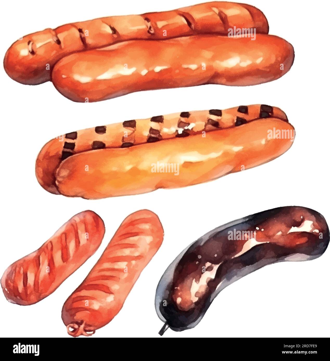 Sausages set watercolor, great design for any purposes. Hand drawn ...