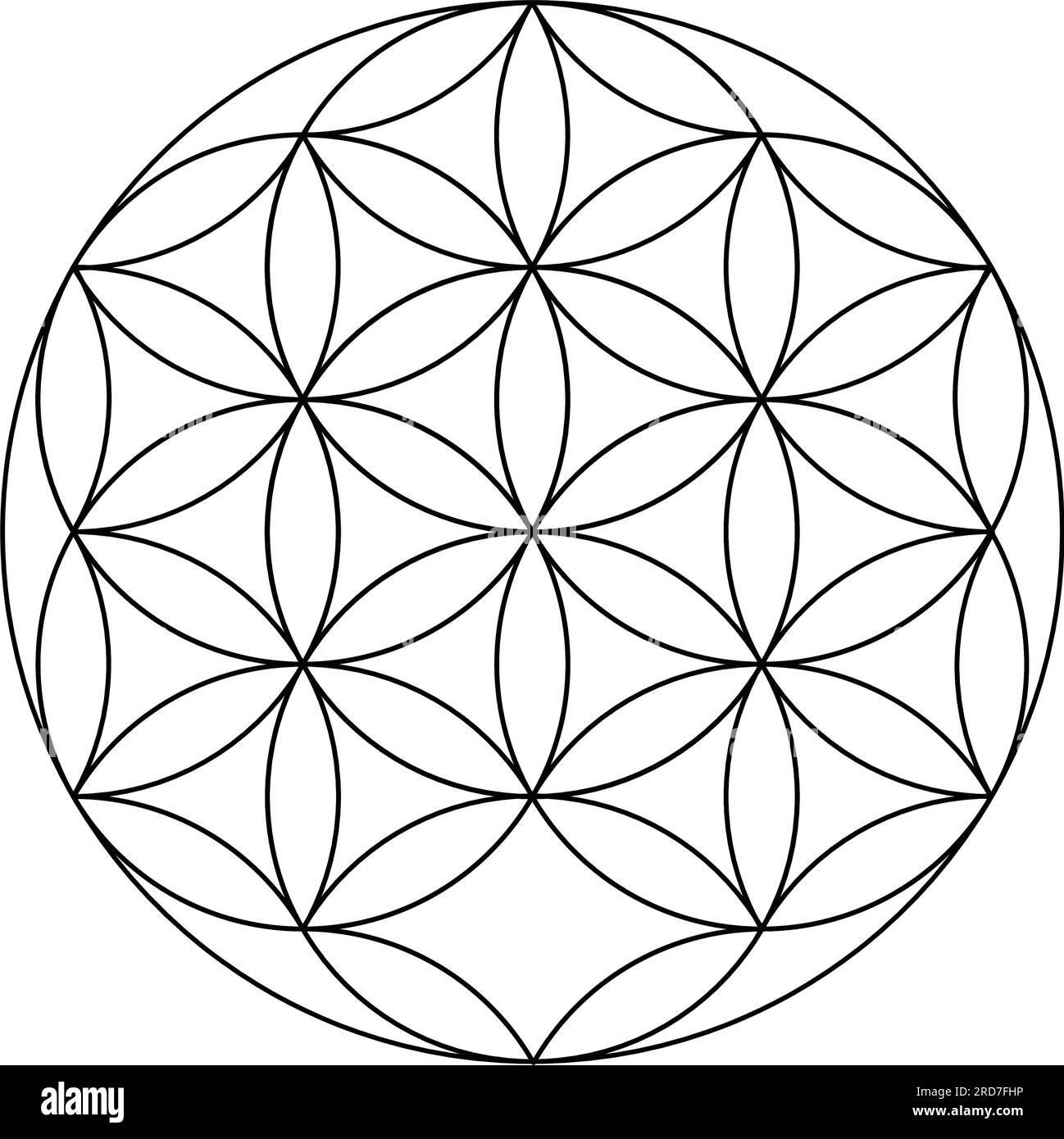Flower of life. Scared Geometry Vector Design Elements. This is ...