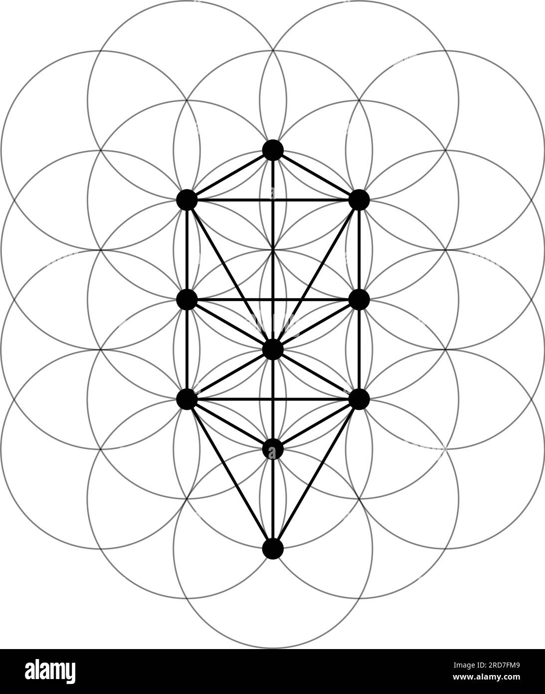 Tree of life Black and White Stock Photos & Images - Alamy