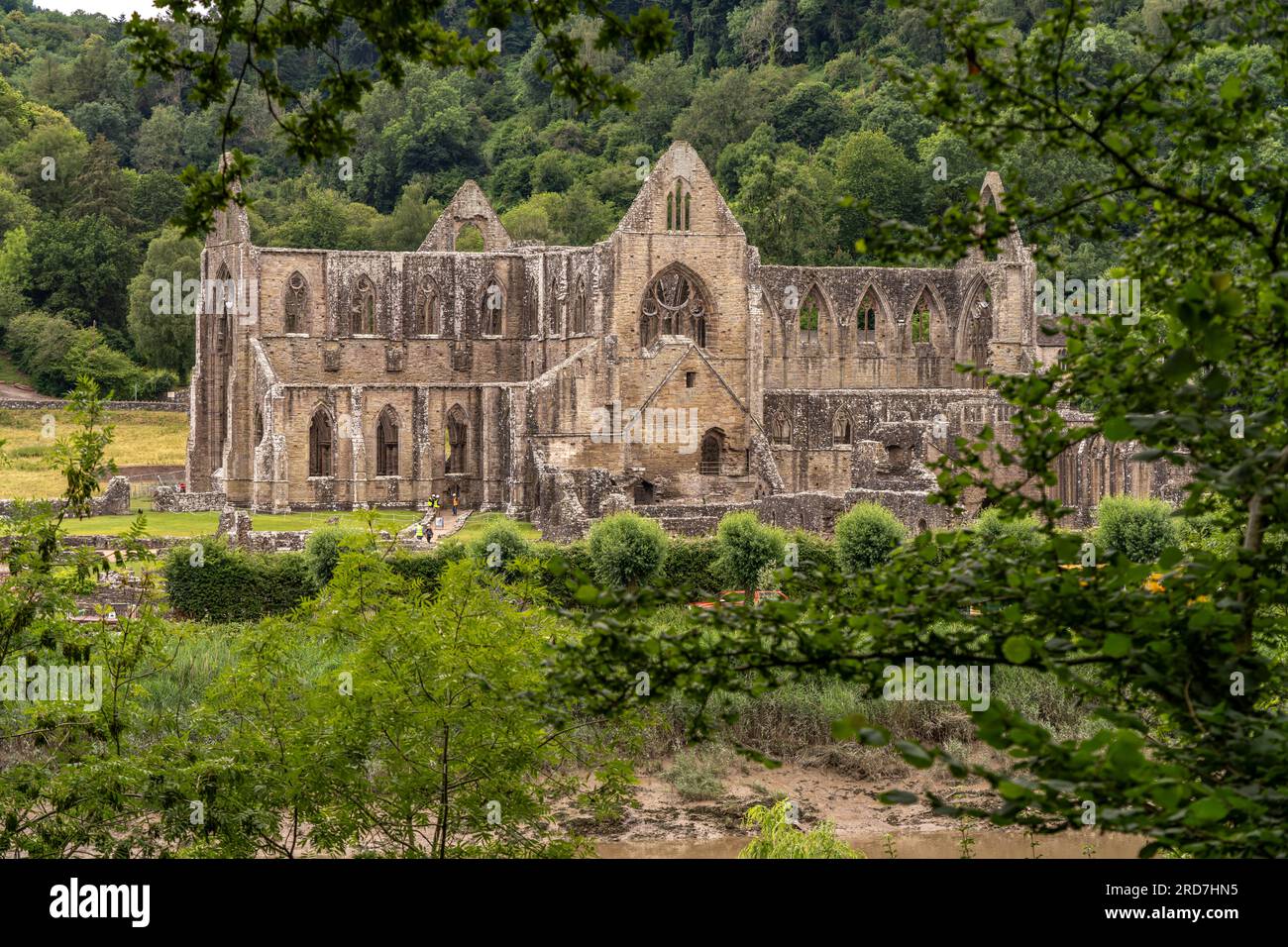Die Klosterruine Tintern Abbey im Wye Valley, Tintern, Monmouth, Wales ...