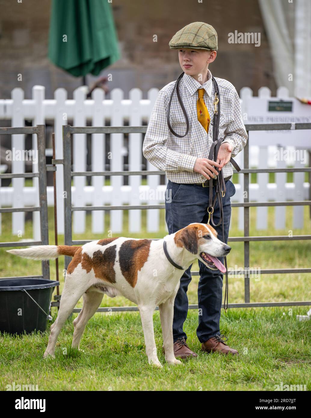 Fox news host hi-res stock photography and images - Alamy