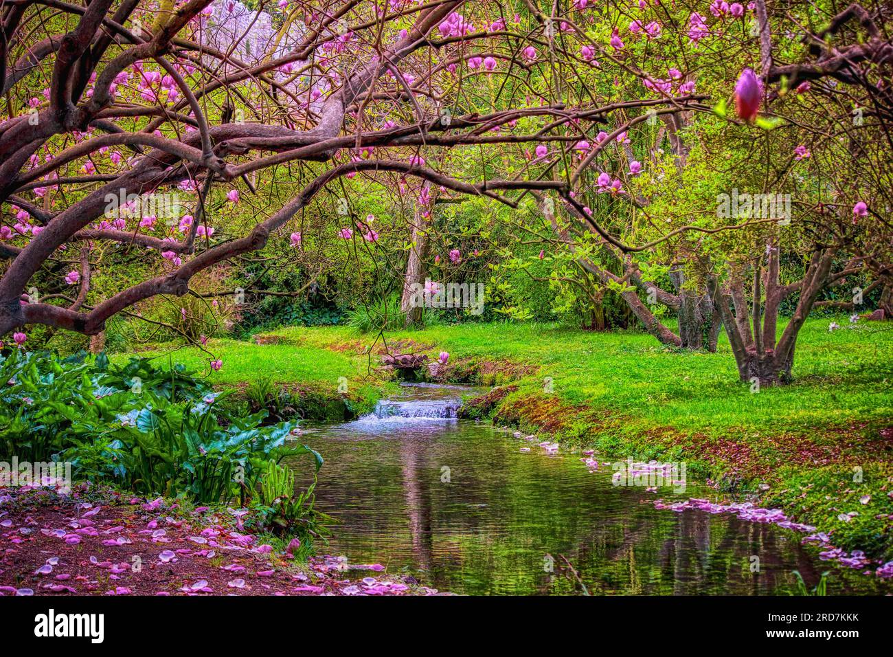 Oasi ninfa hi-res stock photography and images - Alamy