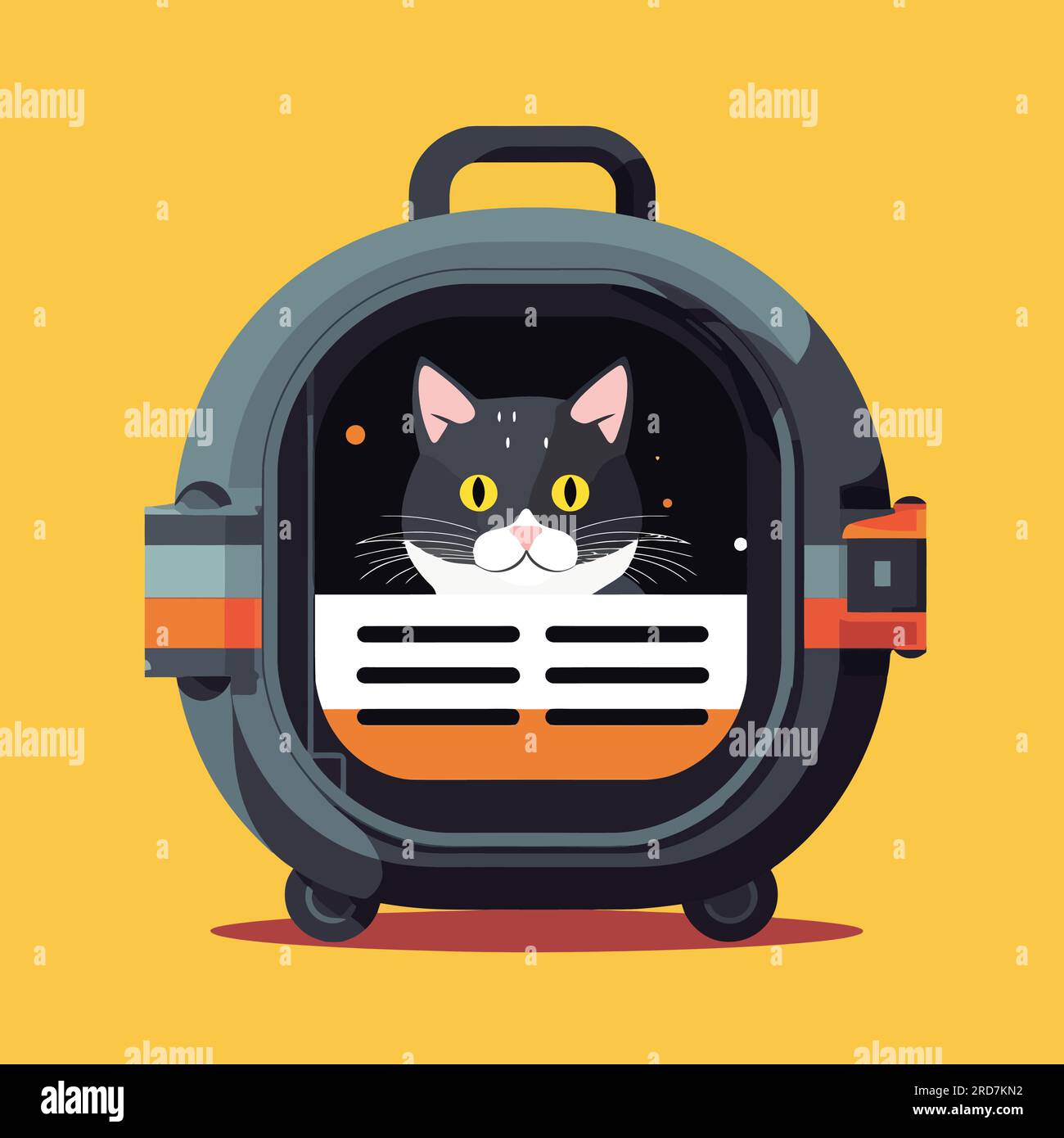 Cat in carrier hi-res stock photography and images - Alamy