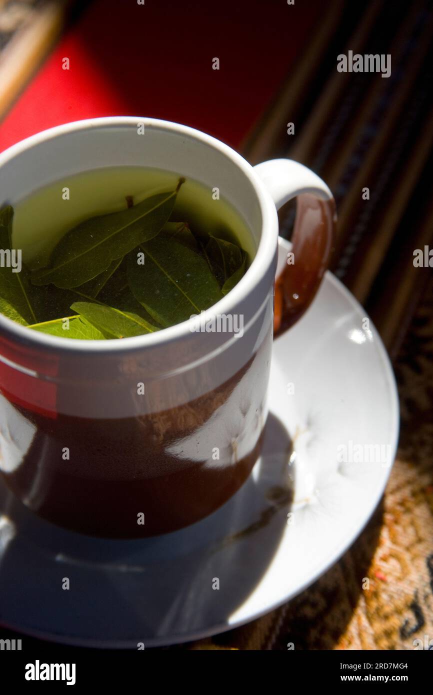 Cup with coca leaves in Bolivia Stock Photo - Alamy
